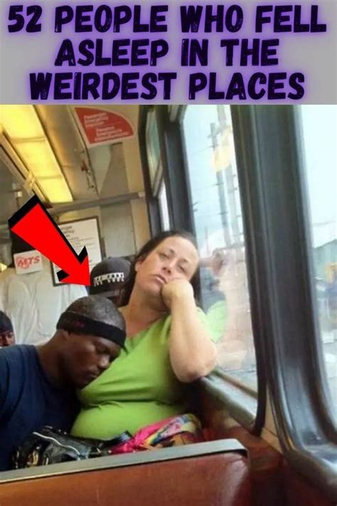 52 People Who Fell Asleep In The Weirdest Places – Artofit