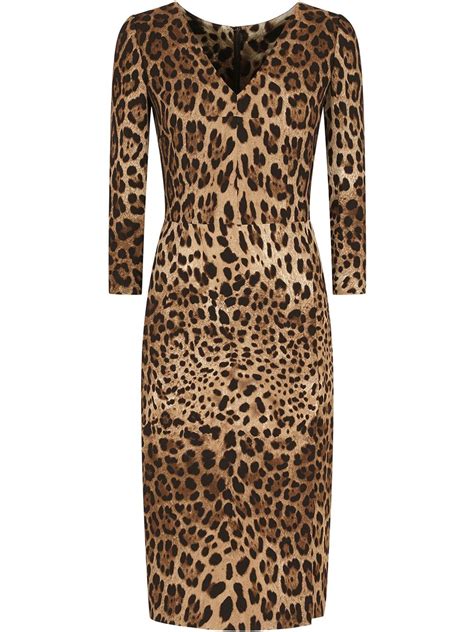 Dolce And Gabbana Leopard Print Cady Midi Dress In Multicolor Modesens
