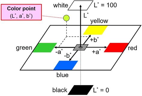 The Three Dimensional Cie L A B Colour Space Diagram Beetsma 2020