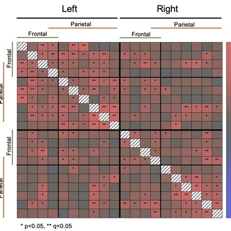 Matrix Showing Group Spontaneous Functional Connectivity Sfc For Hbt