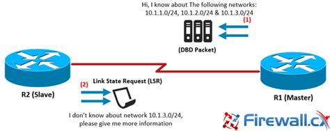 ospf adjacency and neighbor forming process ospf hello messages ospf