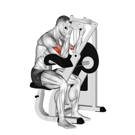 Curl Biceps Assis à La Machine By Matéo Panda Gang Comment Faire De L
