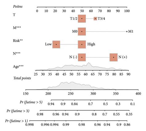 Construction And Evaluation Of A Nomogram In The Tcga Training Set The