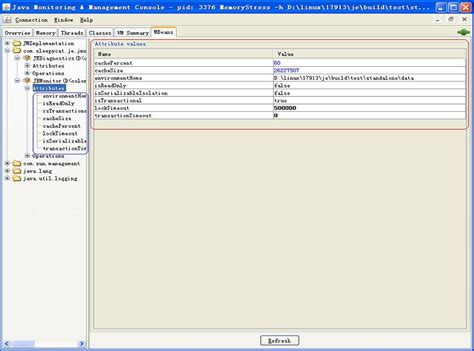 berkeley db java edition mbeans and jconsole plugin
