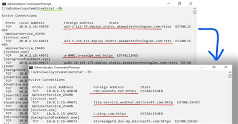 pr dnsd passive recursive dns daemon kali linux