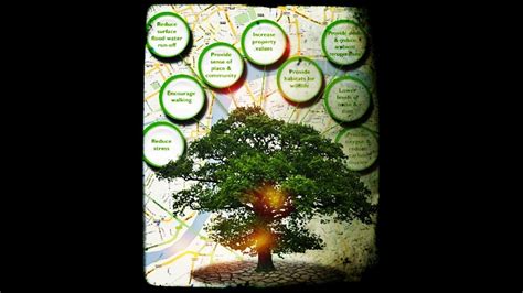 how to create a tree diagram in excel youtube