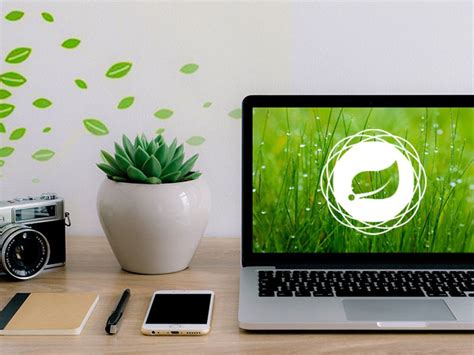 spring web framework stacksocial
