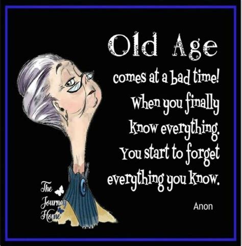 Pin By Penny Vamvakaris On Getting Old Sucks Funny Quotes Old Age