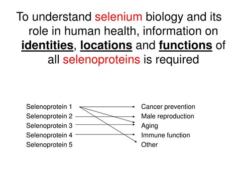 Ppt Selenoproteins Biosynthesis And Functions Powerpoint