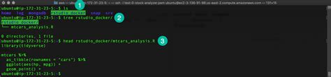 chapter 11 docker containers the shiny aws book