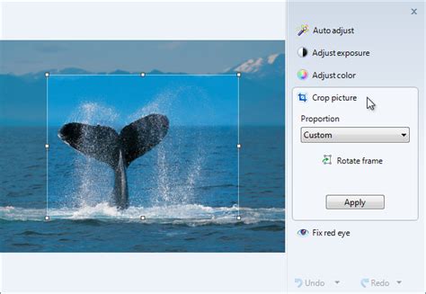menus design basics win32 apps microsoft docs