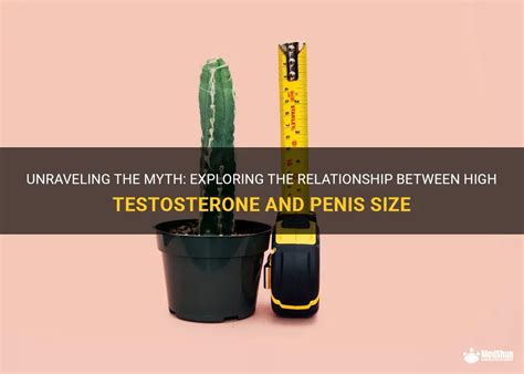 Unraveling The Myth Exploring The Relationship Between High