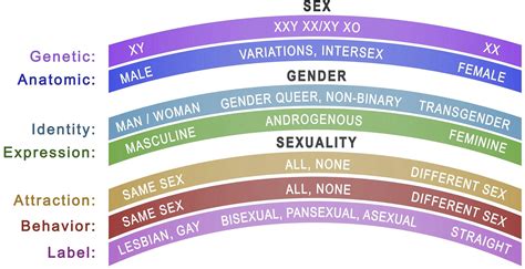 Health And Wellness For Lgbtq Advances In Pediatrics