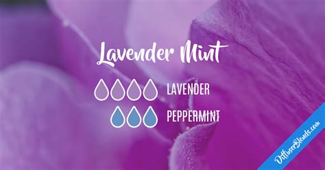 Blend Recipe 4 Drops Lavender 3 Drops Peppermint Essential Oil