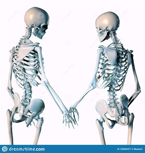 3d Illustration Of Romantic Skeleton Couples Stock Illustration