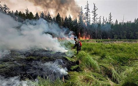 Los Incendios Forestales En Rusia Arrasan Más De 1 5 Millones De