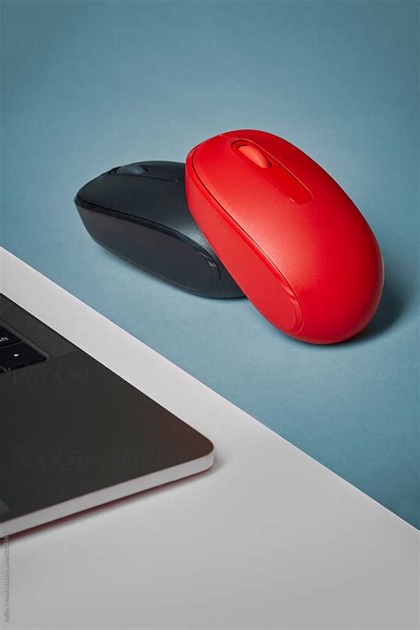 computer mice having sex by stocksy contributor french anderson ltd