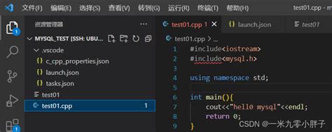 vscode环境配置文件生成 vscode导出配置文件 散修 小胖子的博客 csdn博客