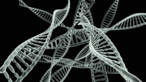 Dna Double Helix Electron Microscope