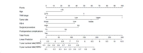 A Nomogram Indicating The Survival An Example Of A Nomogram Draw An