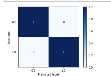 python random forest perfect confusion matrix stack overflow