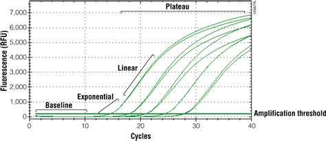 Getting The Best Results From Your Reverse Transcription Quantitative