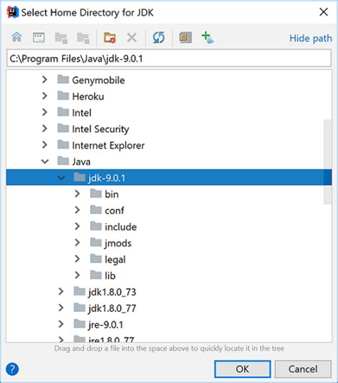 now that we have a valid project sdk click the next button