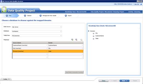 cleansing customer data using data quality services dqs microsoft