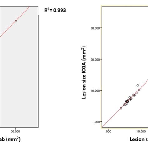 The Correlation And The Regression Lines Between The Lesion Size On