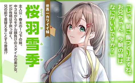 Jp 妹はカノジョにできないのに 3 電撃文庫 鏡 遊 三九呂 本