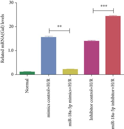 Evaluation Of Gal Mrna Levels On Ir And Its Association With