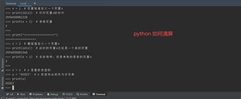 如何在 python 中清屏 honeymoose mdeditor