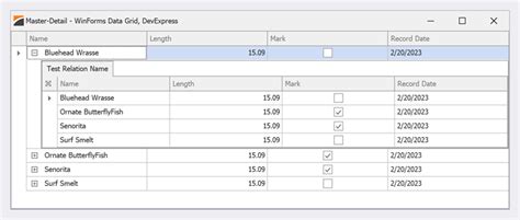 working with master detail relationships in code winforms controls