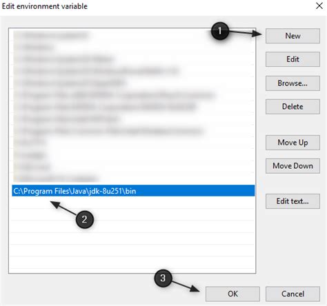how to install java and set environment variables