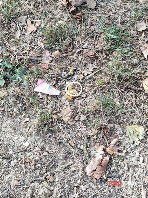 Parco Delle Stagioni Degrado Pericoloso Tra Preservativi Usati