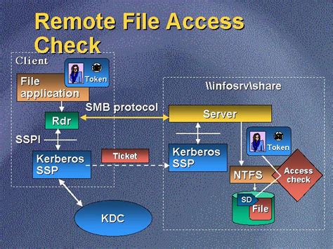 remote file access check