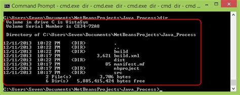 java buddy execute system command from java using