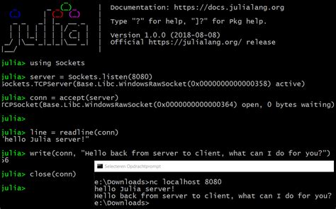 working with tcp sockets and servers julia 1 0 programming second
