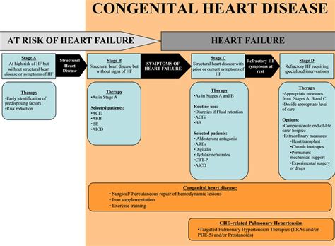 Congenital Heart Disease And Anaesthesia Ppt