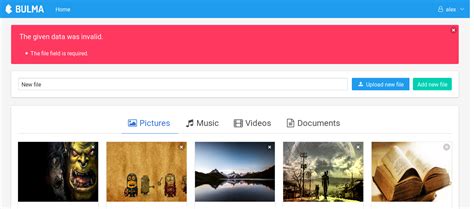 upload and manage files with laravel and vue by fl2top codeburst