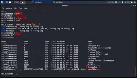 what is meterpreter some important commands used in meterpreter