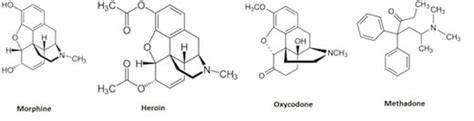 Peeing Into The Wind Urine Drug Screens Part 2 Opiates