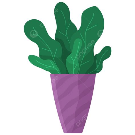 Houseplant Clipart Png Images Pot With Houseplant Isolated At White