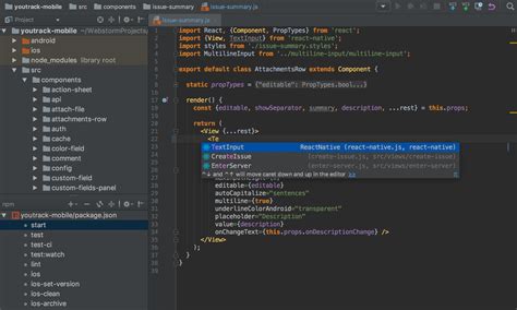 best ide for programming top 12