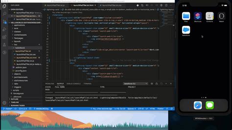 salesforce developers