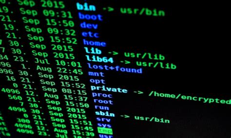 linux fundamentals how to copy move and rename files and directories