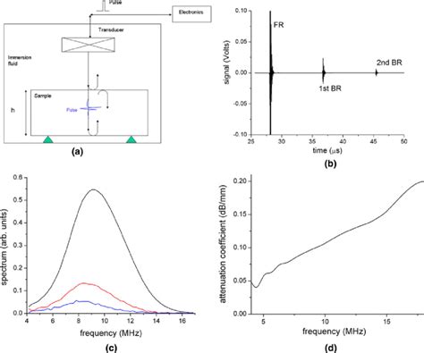 Determination Of The Attenuation Coefficient Vs Frequency A