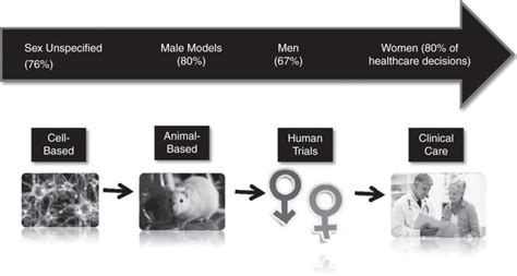Sex And Gender In Medical Education The Next Chapter Anesthesia Key