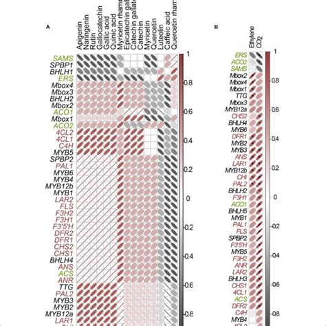 A Pairwise Correlation Analysis Of Gene Expression And Phenolics