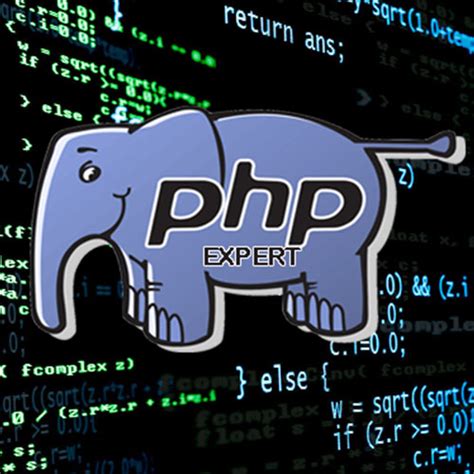 php development seo and social media by top digital marketing company noida